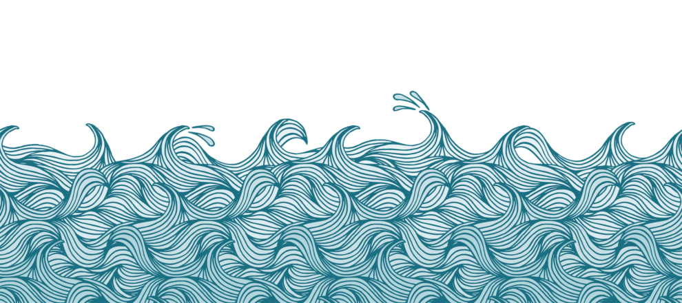 Walleye Fillets – Mi Great Lakes Fish Co